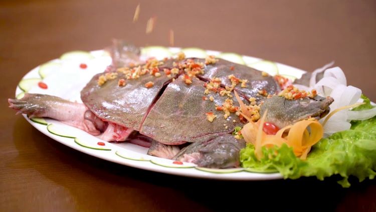 Giá Trị Dinh Dưỡng Từ Thịt Ba Ba? Có Nên Ăn Thịt Ba Ba